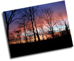 Blackthorns Sun Club - Naturism in the heart of Bedfordshire